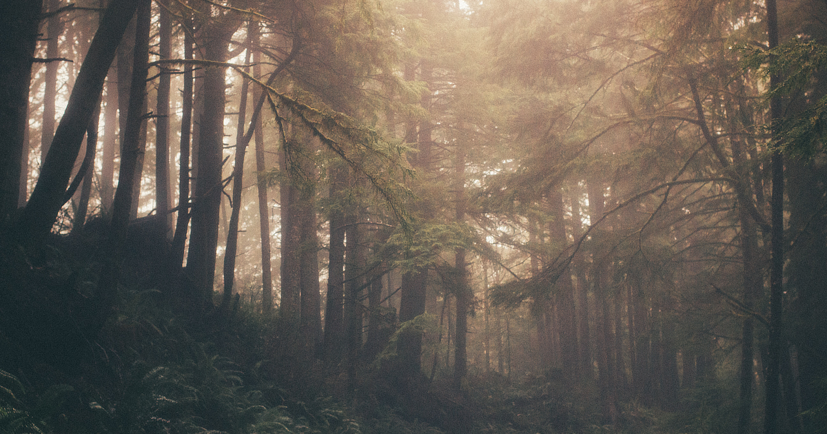 An Introduction to Ambient Music (+ 12 Favorite Plugins) — Pro Audio Files