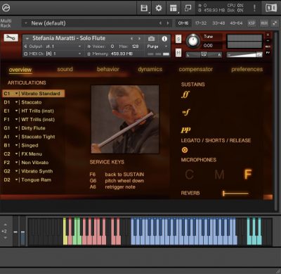 5 Favorite Virtual Flute Libraries (+ Audio Examples) — Pro Audio Files